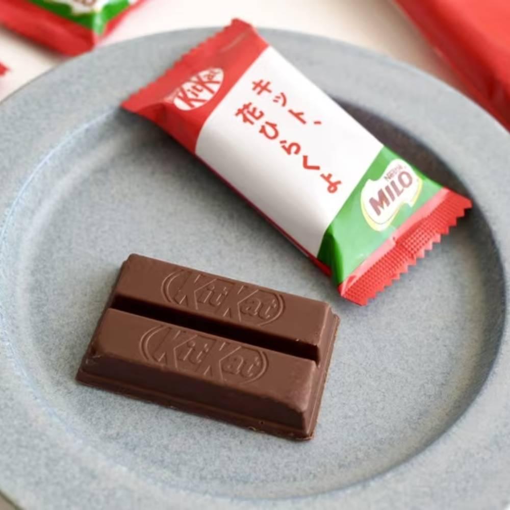 Nestlé Kit Kat Iron Boost Chocolate With Milo KitKat 10 Bars – Japanese Taste