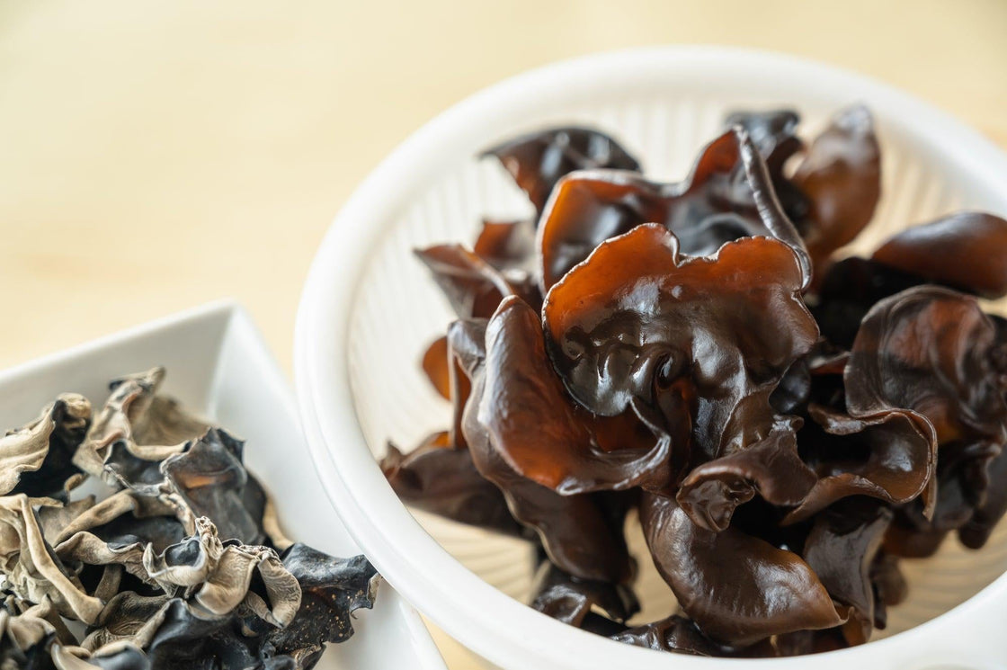 A Deep Dive Into Kikurage – The Wild Edible Japanese Fungus