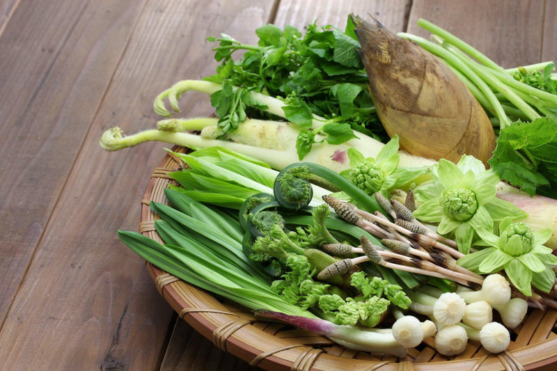 Exploring Sansai – A Beginner's Guide To Japanese Mountain Vegetables