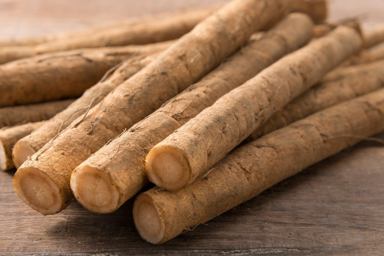 Gobo ー Your Guide To The Healthy And Versatile Burdock Root