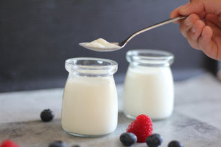 How To Make Japanese Milk Pudding – Japanese Taste