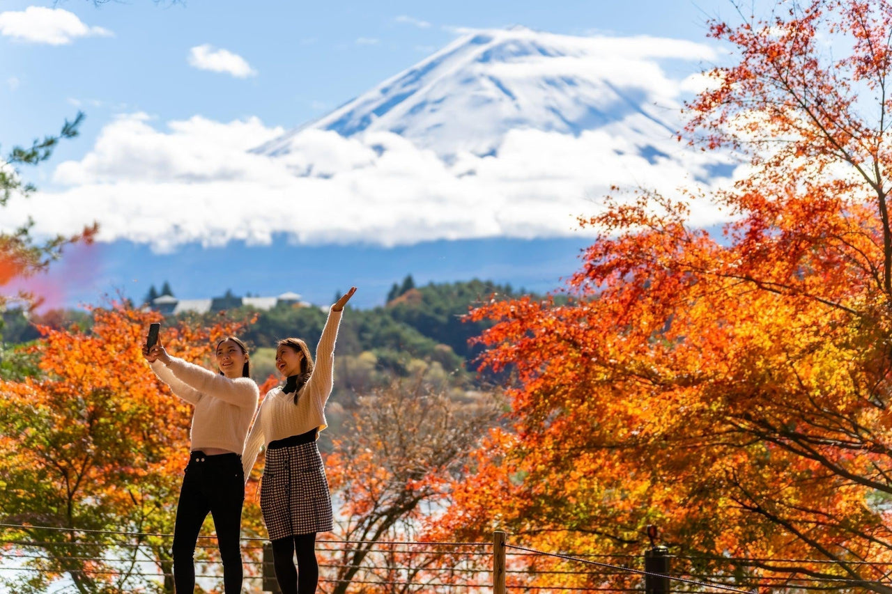 Japan Fall Foliage Guide 2024: Forecast, Map, Best Spots, & Travel Tip ...