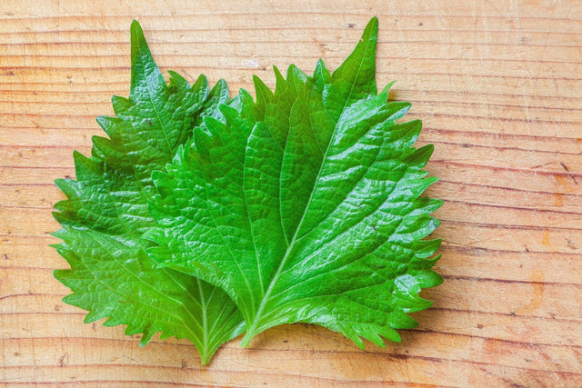 Meet Shiso – The Delicious and Decorative Japanese Herb – Japanese Taste