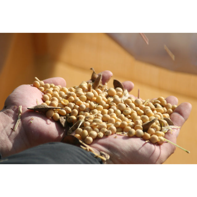 Adachi Aged Aka Miso Naturally Fermented Red Miso Paste 500g