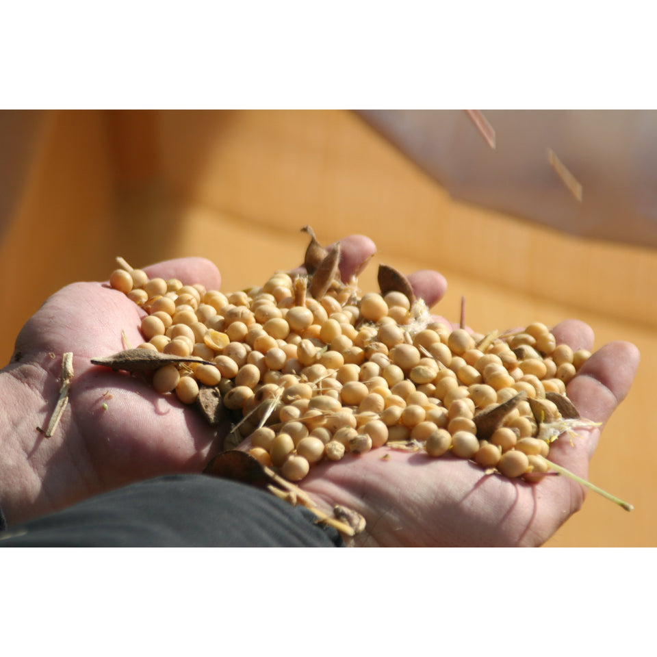 Adachi Aged Aka Miso Naturally Fermented Red Miso Paste 500g