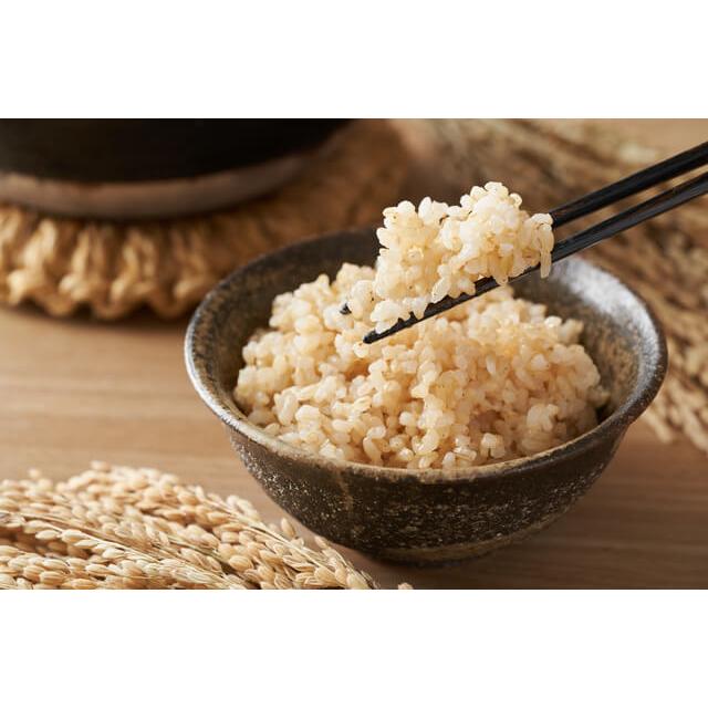 Organic Koshihikari Genmai Rice Japanese Brown Rice 2kg