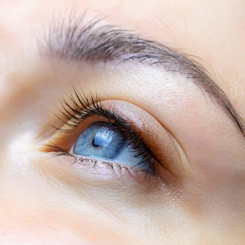 Ortho Bambi Wink Eyelash Supplement 60 Tablets – Japanese Taste